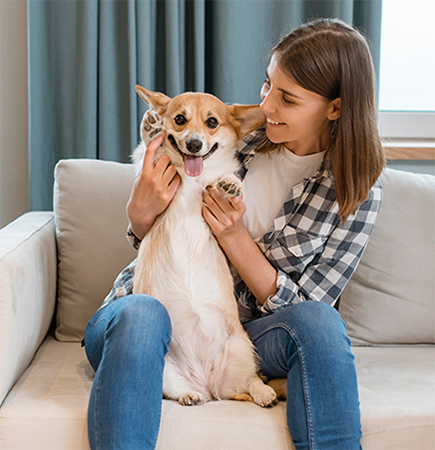 Neden Bizi Seçmelisiniz?